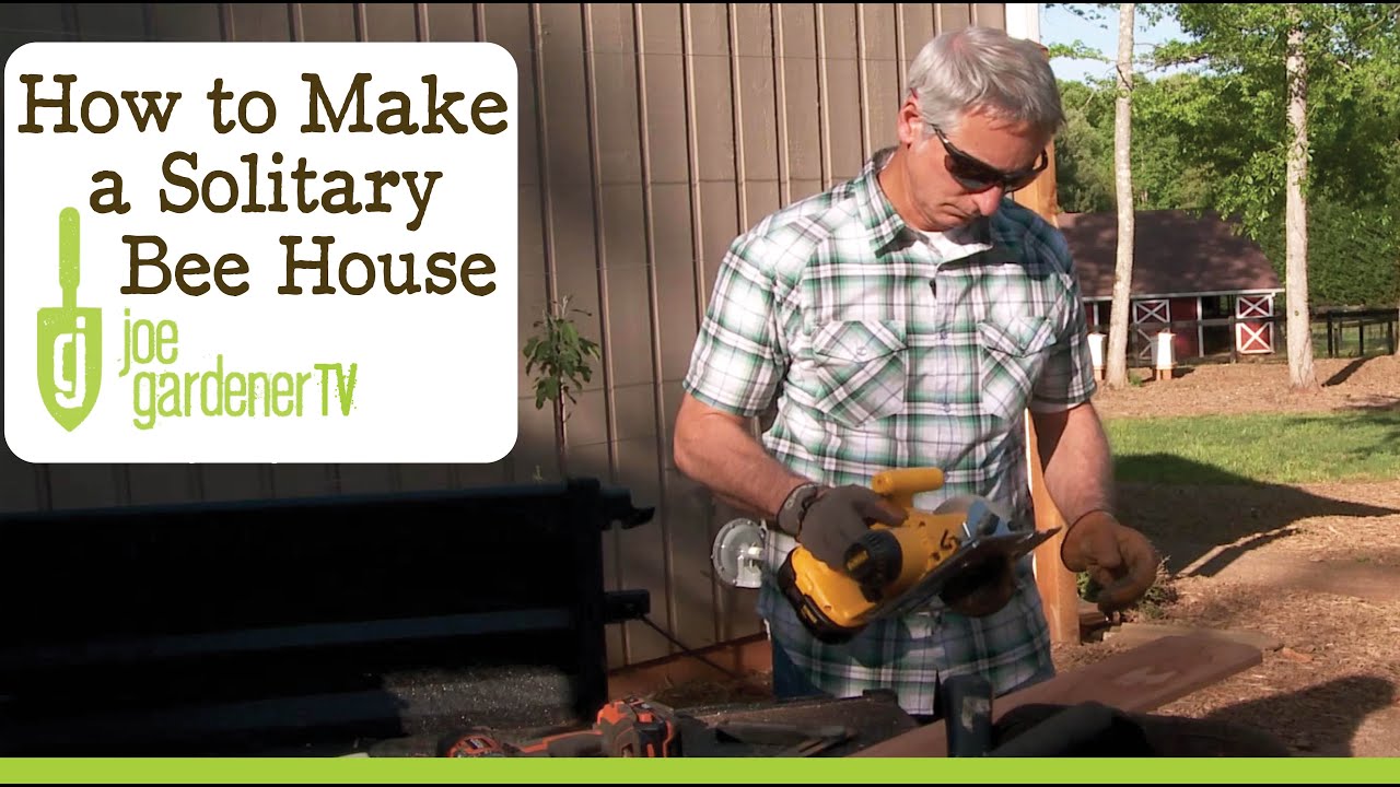 How to Make a Solitary Bee House - YouTube