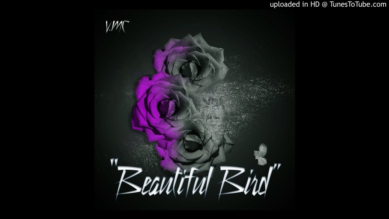 V.MC - Beautiful Bird - YouTube