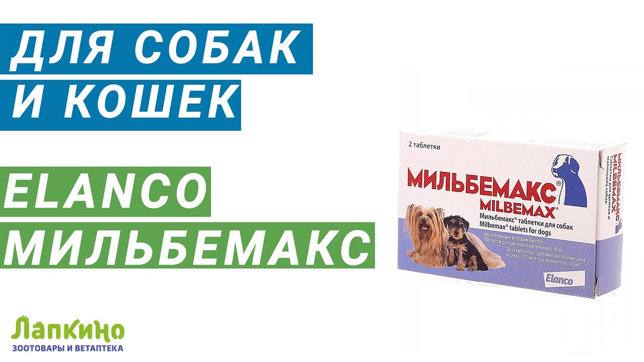 МИЛЬБЕМАКС от ELANCO // Ветаптека и зоотовара Лапкино ( Петшоп 78 ...