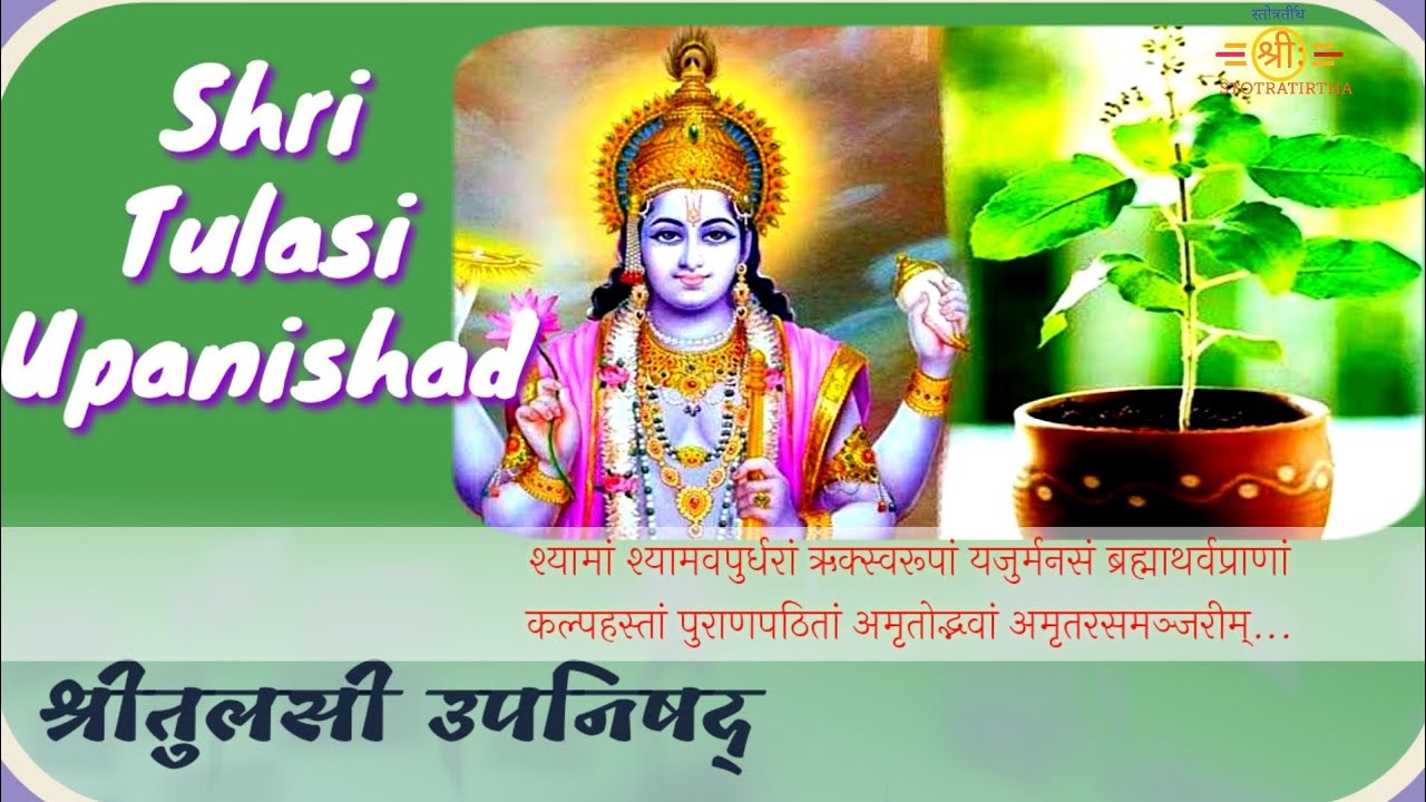 Tulasi Upanishad. श्री तुलसी उपनिषद्। Tulsi Stotra. SriTulasi Stuti. - YouTube