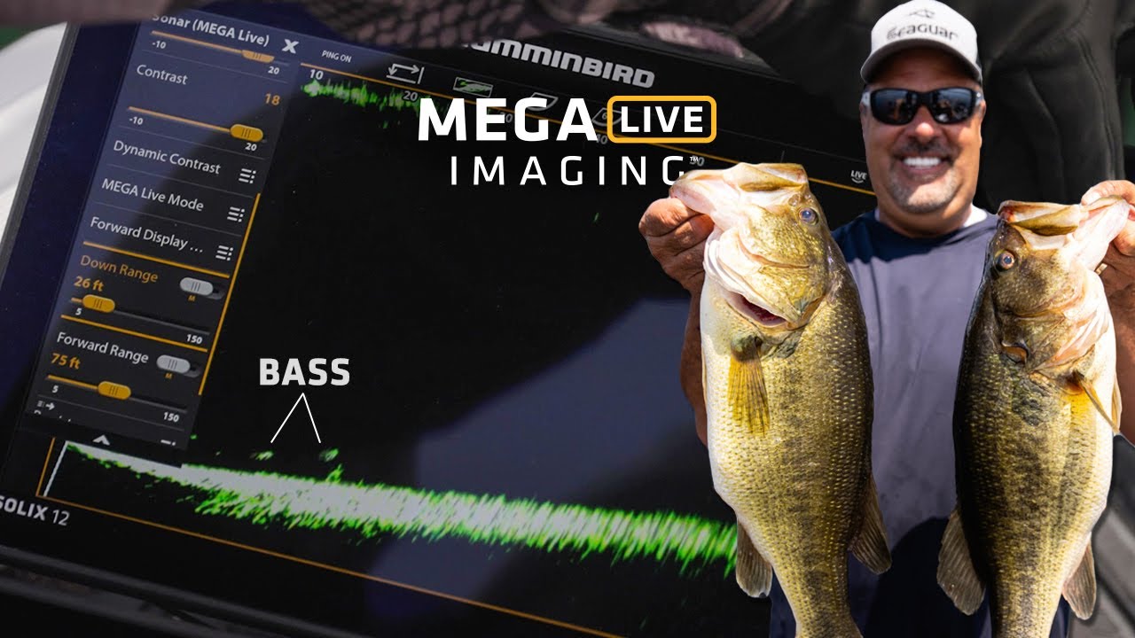Mark Zona's Breakdown of MEGA Live Imaging | Settings & Benefits of ...