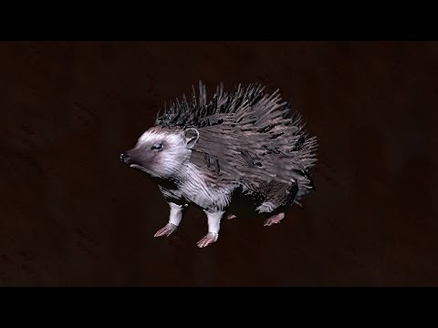 Path of Exile - Hedgehog Pet - YouTube