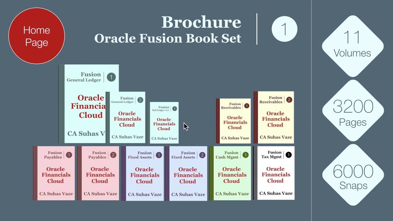 Oracle Fusion Financials Book Set - aka Oracle Financials Cloud Book ...