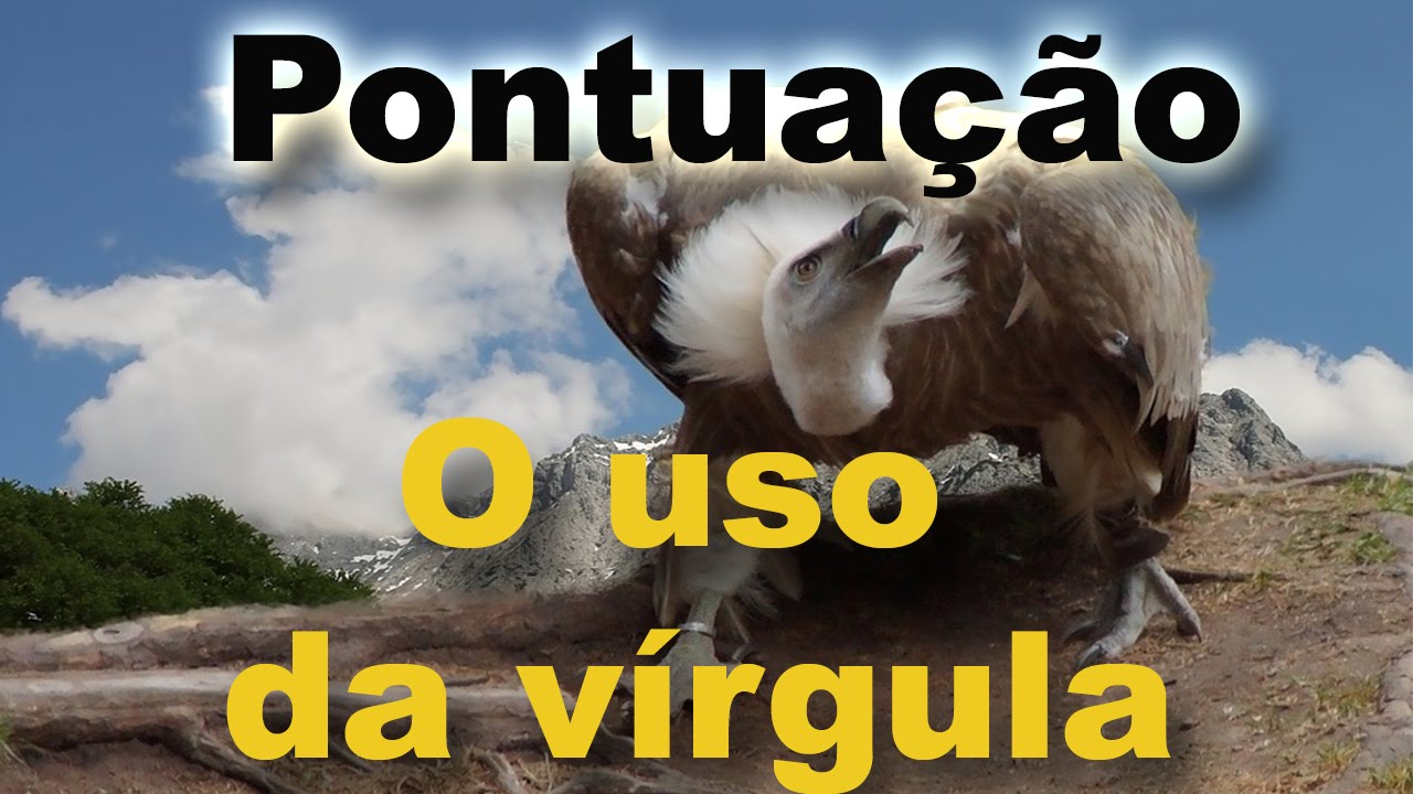 Pontuação - o uso da vírgula - YouTube