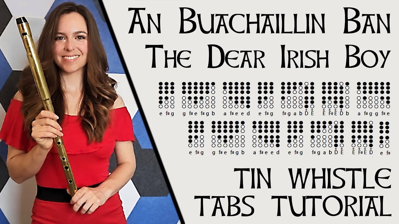 An Buachaillin Ban - The Dear Irish Boy | Low Whistle & Tin Whistle ...