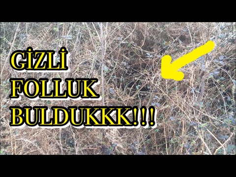 GİZLİ FOLLUK TAVUKLAR NEREYE YUMURTLAMIŞ??GÖRÜNCE ŞAŞIRACAKSINIZ! #tavuk #yumurta #chicken #eggs ???