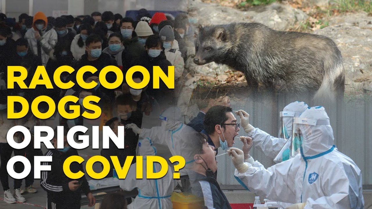 China Covid-19 News Live : New Data Links Coronavirus’s Origins To ...