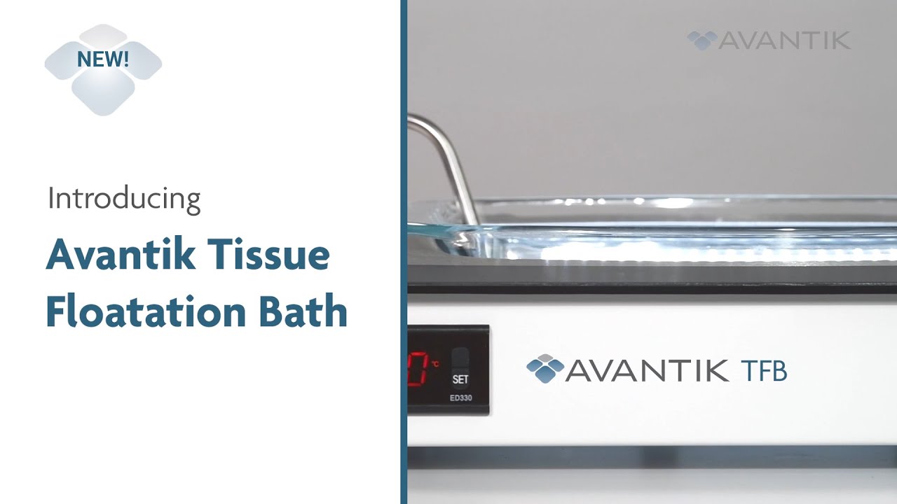 Avantik Tissue Floatation Bath - YouTube