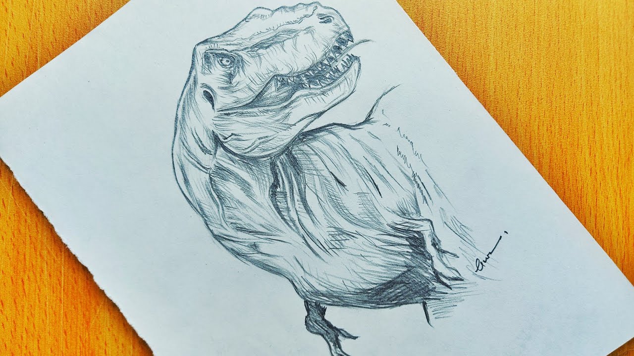how to draw T Rex dinosaur || dinosaur pencil shade drawing || dinosaur ...