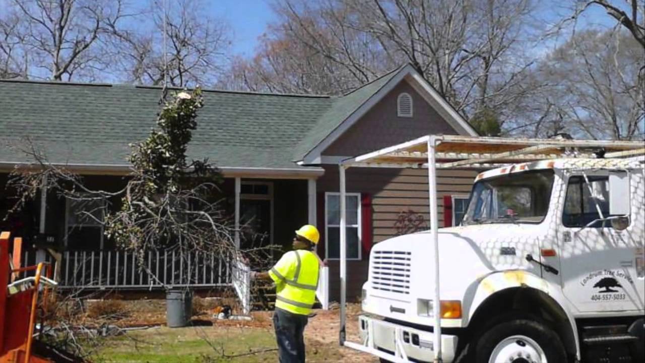 Landrum Tree Service,LLC - YouTube
