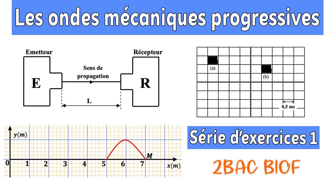 2BAC BIOF : Série d'exercices 1 - Les ondes mécaniques progressives ...