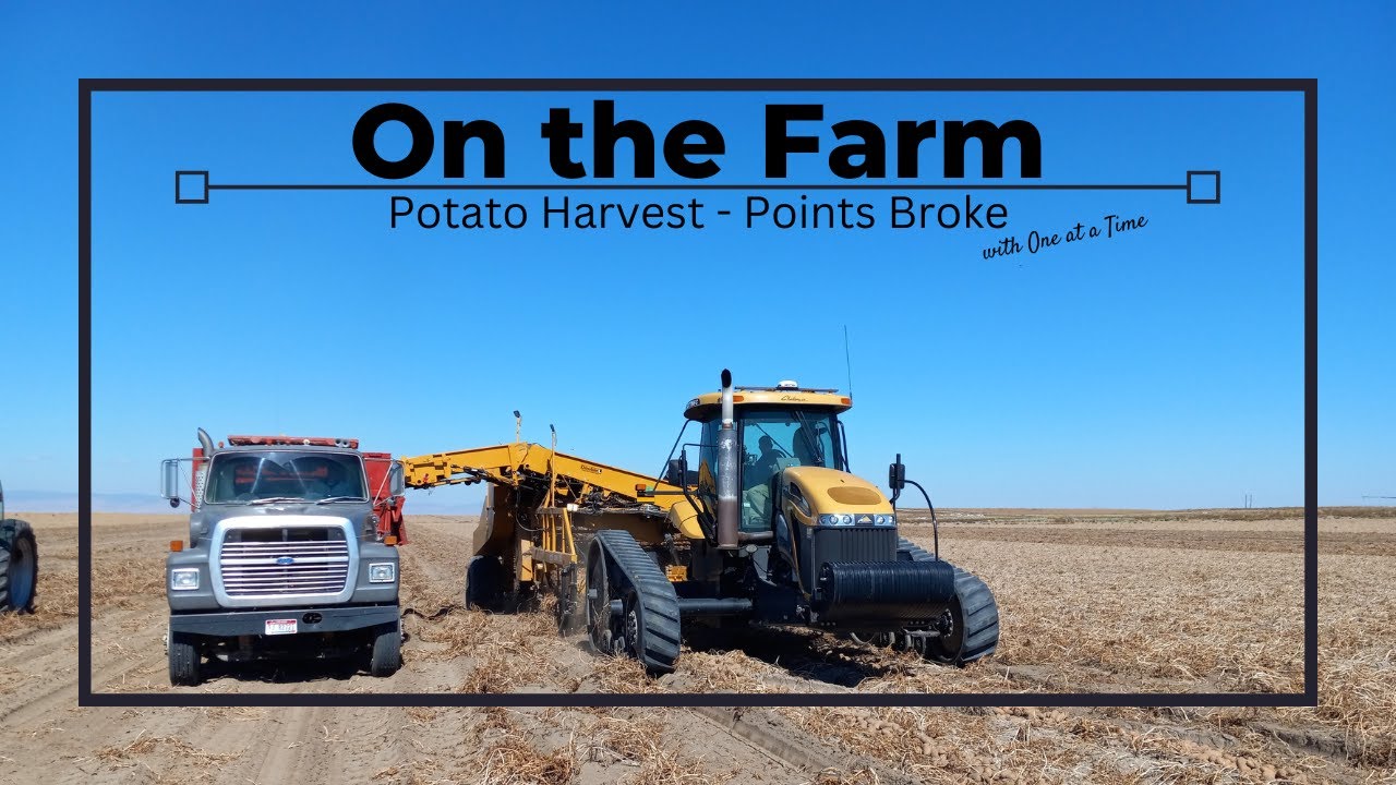 On the Farm - Broken Points - YouTube