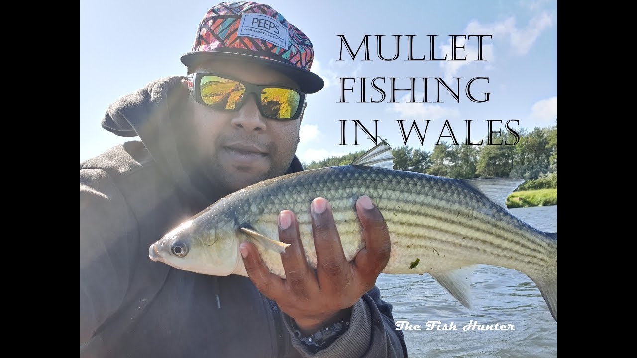 Mullet Fishing Ogmore River Wales. - YouTube