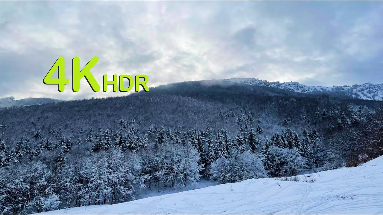 4K Winter Hike through Snowy Forest - YouTube