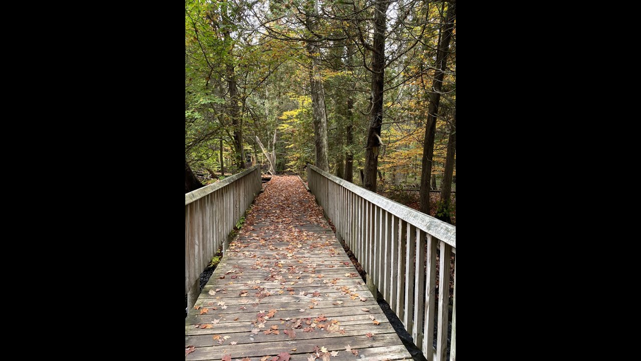 MICHIGAN TRAVEL - SEVEN BRIDGES, TORCH LAKE, FREEDOM PARK, RUGG POND ...