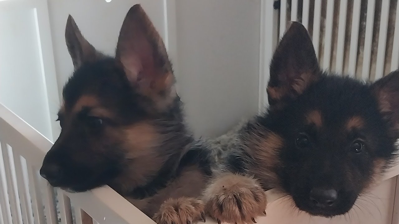 Sunday Breakdown, Oh What A Week Ahead - YouTube