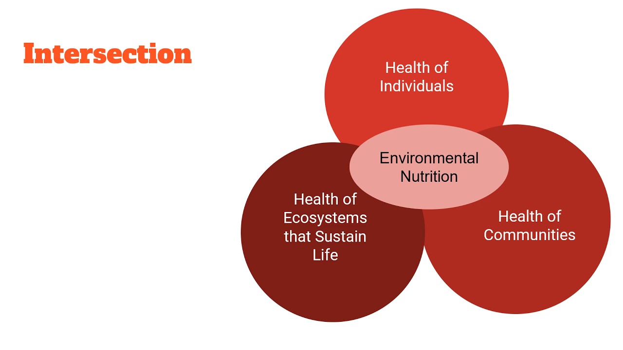 Environmental Nutrition - YouTube