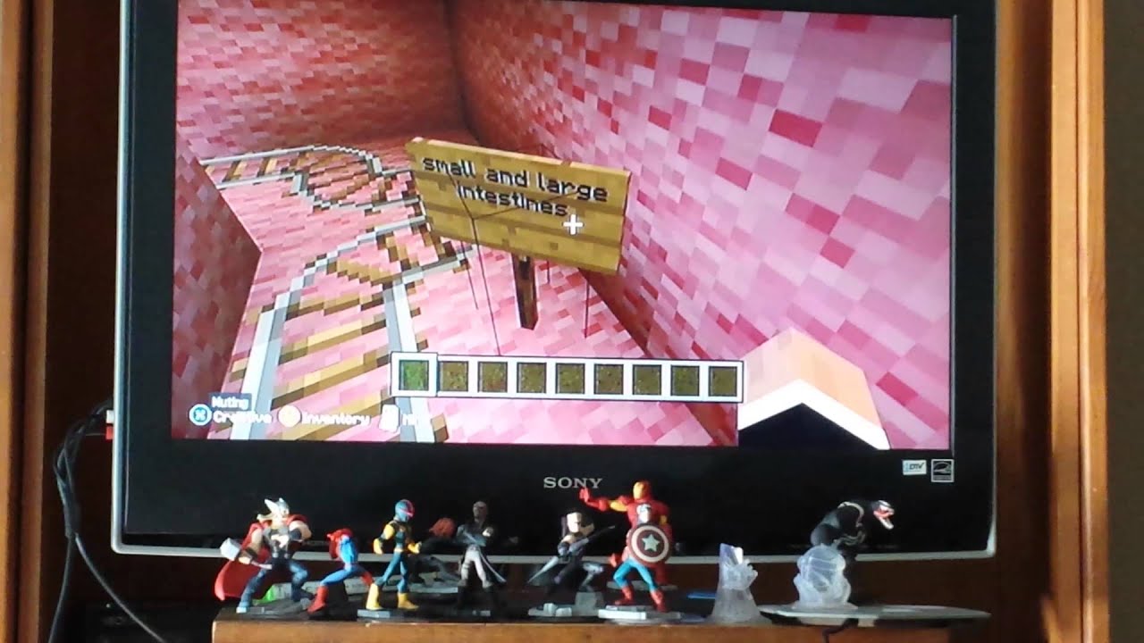 Eric's Minecraft Digestive System Ride - YouTube