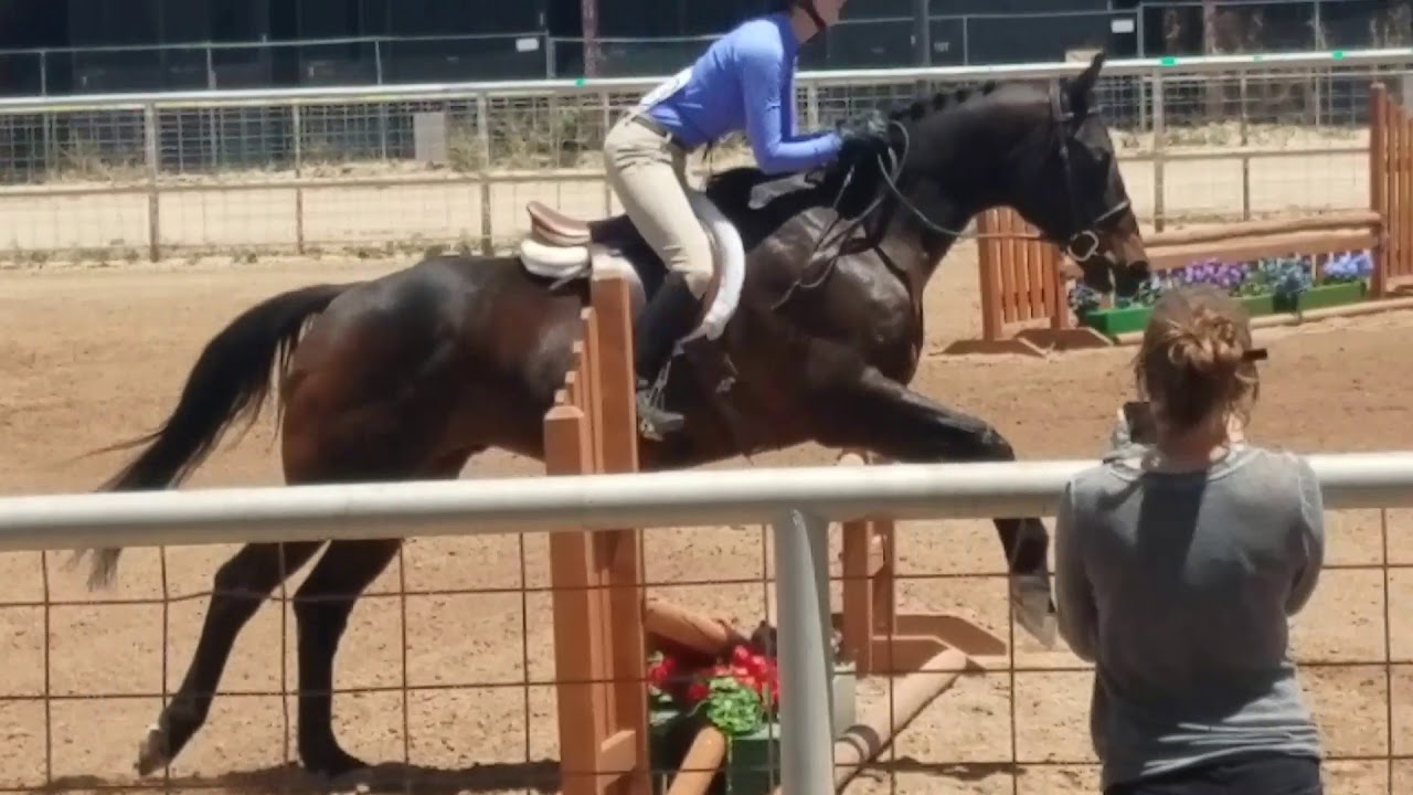 Riding Hunter - Cross Rails - YouTube