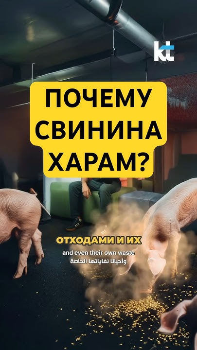 Почему НЕЛЬЗЯ есть СВИНИНУ Youtube