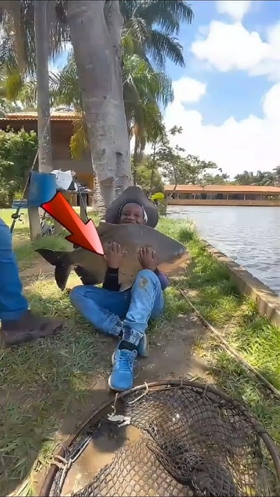 LIHAT GUYS PEMANCING INI DAPAT IKAN BAWAL SUPER BESAR DI GALATAMA ‼️ #shorts #fishing #mancing ...