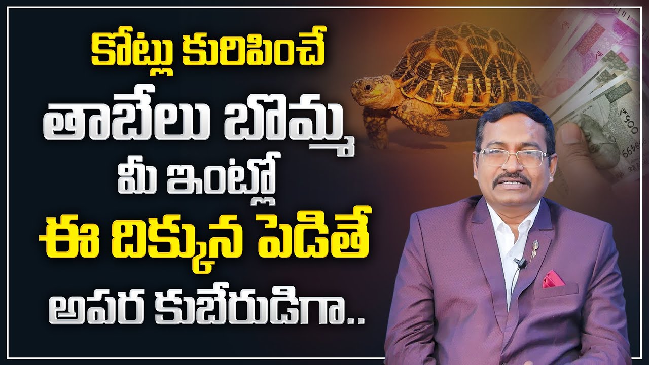 BVSS Reddy : Importance Of Tortoise And Its Direction In Vastu ...