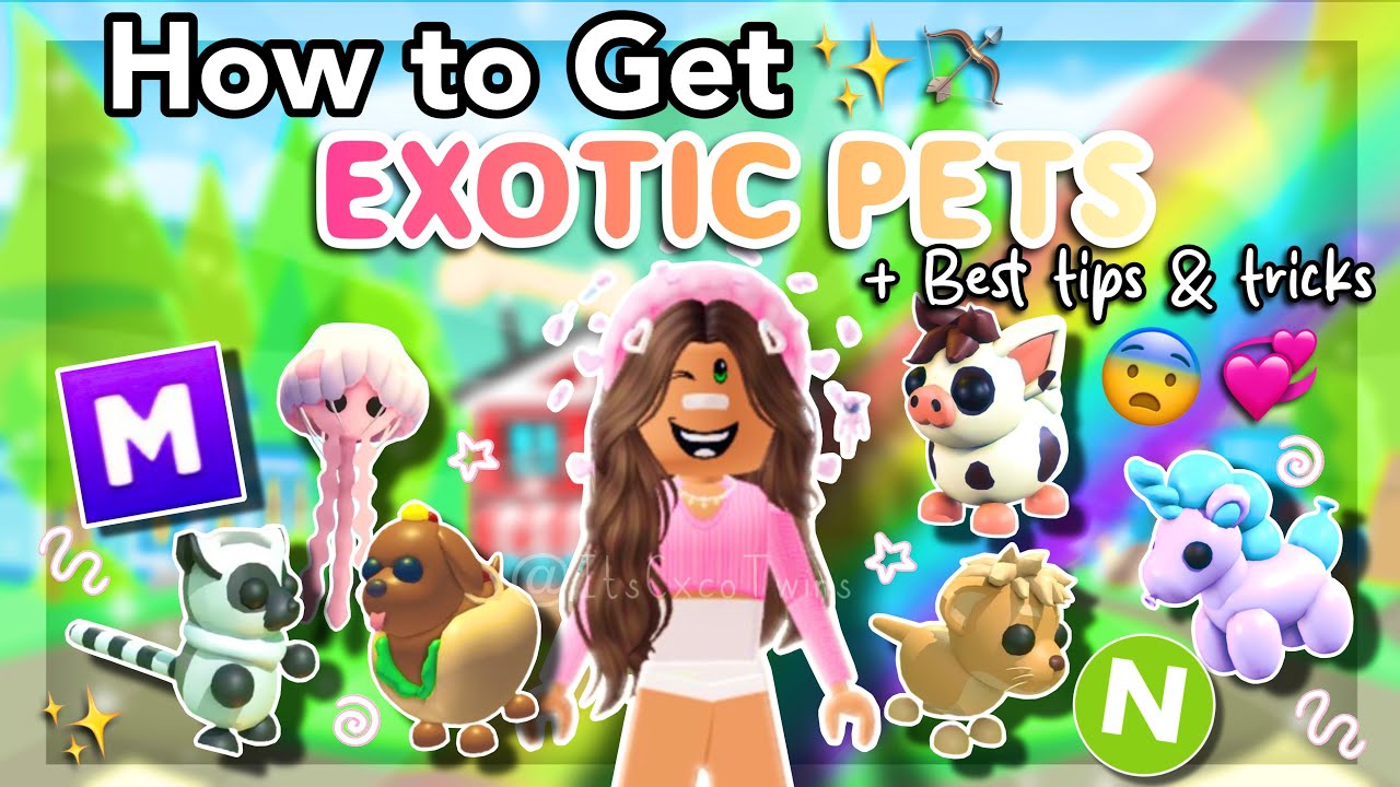 How to Get *EXOTIC PETS* in Adopt Me! *2025* - YouTube