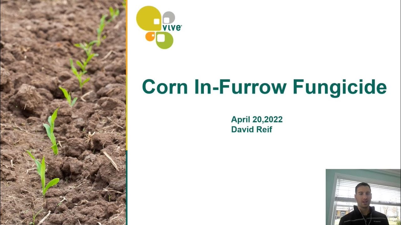 Corn In-furrow Fungicides - YouTube