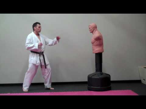 Lunge Punch Oi Zuki - YouTube