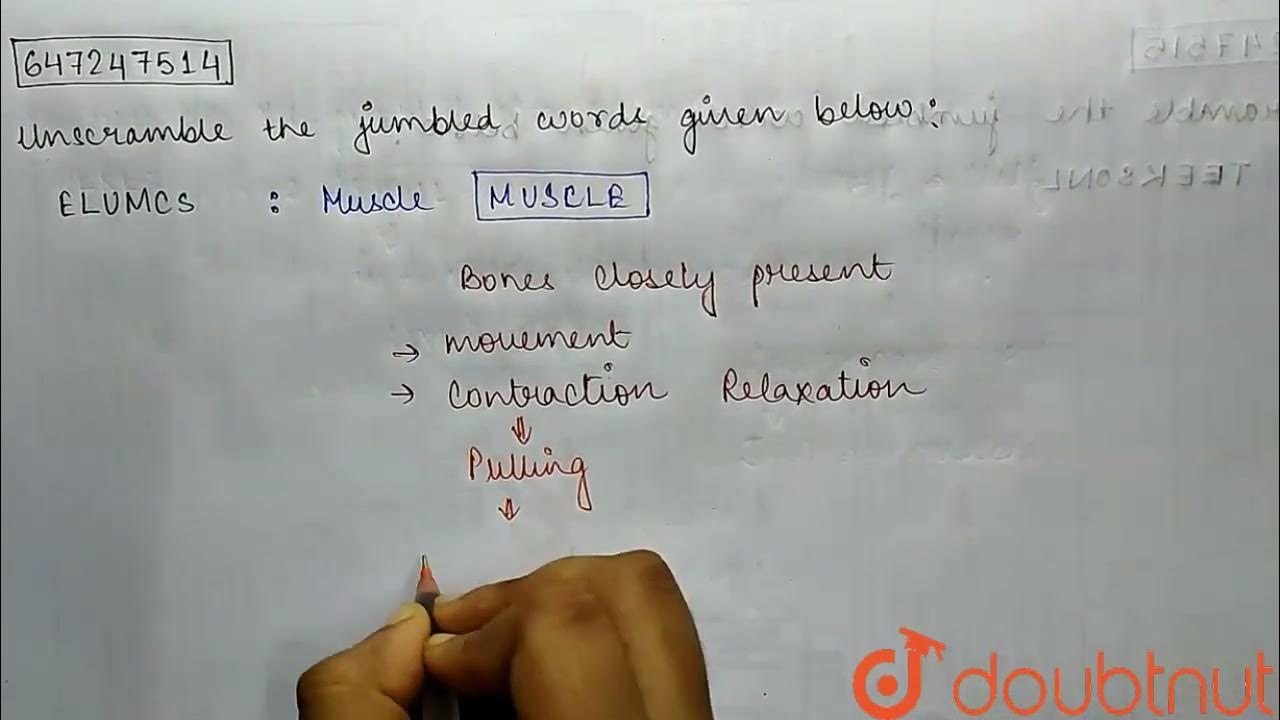 Unscramble the jumbled words given below: ELUMCS | CLASS 6 | BODY ...