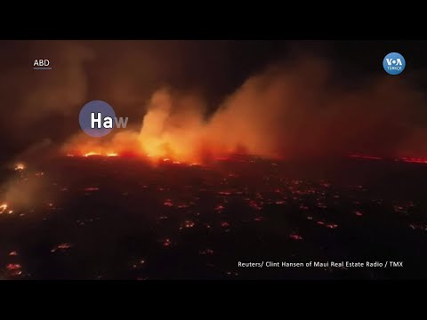 Hawaii'deki orman yangınında 36 kişi öldü, turistik sahil kenti Lahaina kül oldu| VOA Türkçe