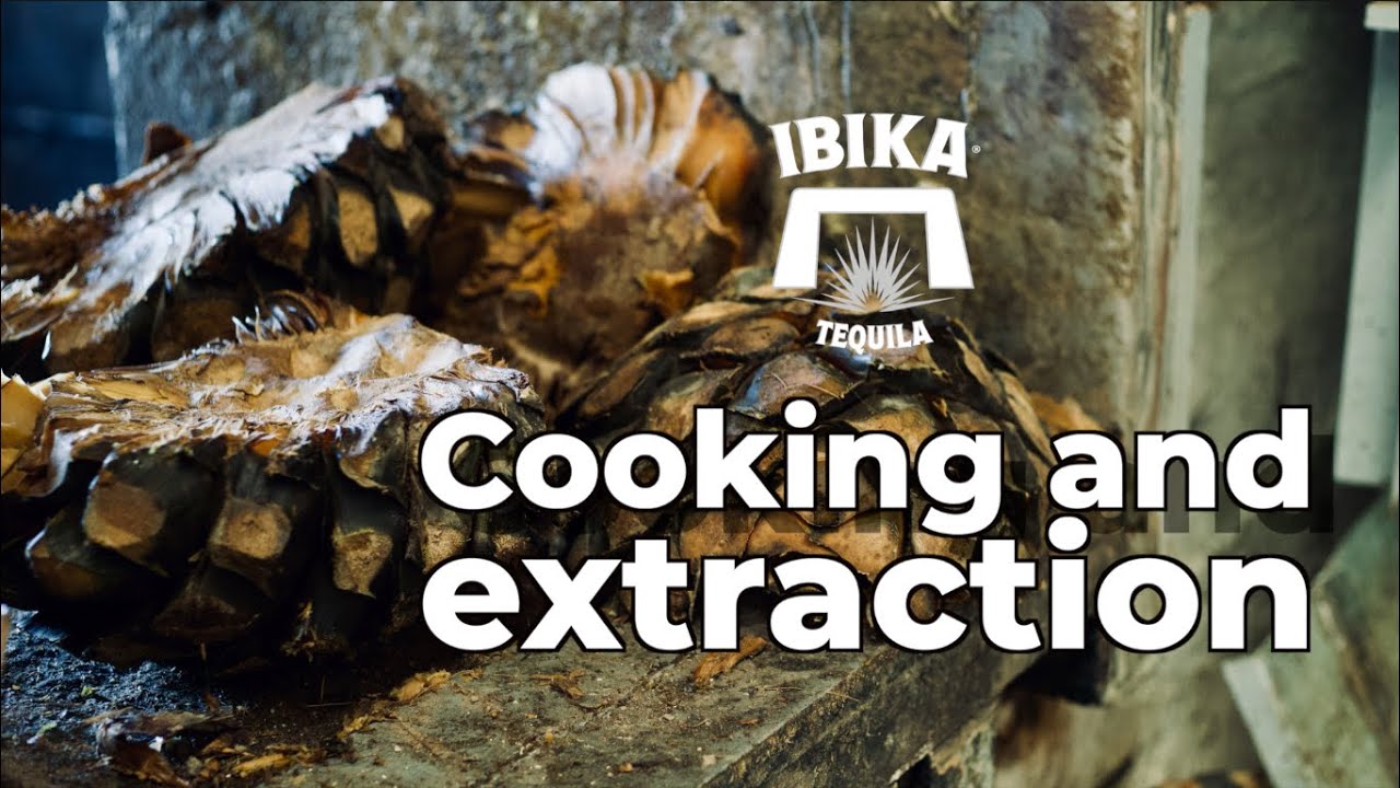 Cooking the agave and extracting the juice - YouTube