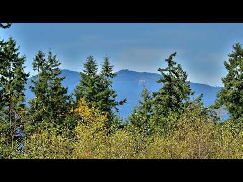 -lot 12 xxx Pioneer Rd NW Seabeck, WA 98380