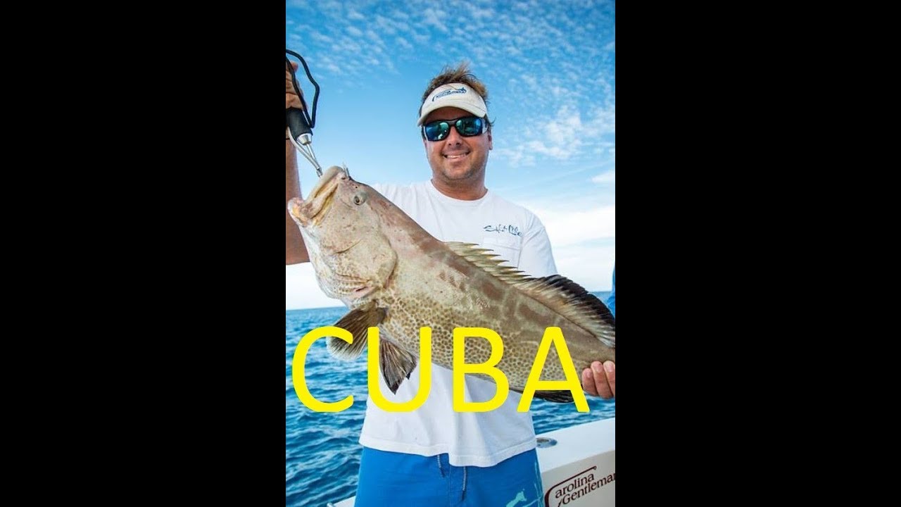 Offshore Veradero, Cuba Grouper, marlin, snapper - YouTube