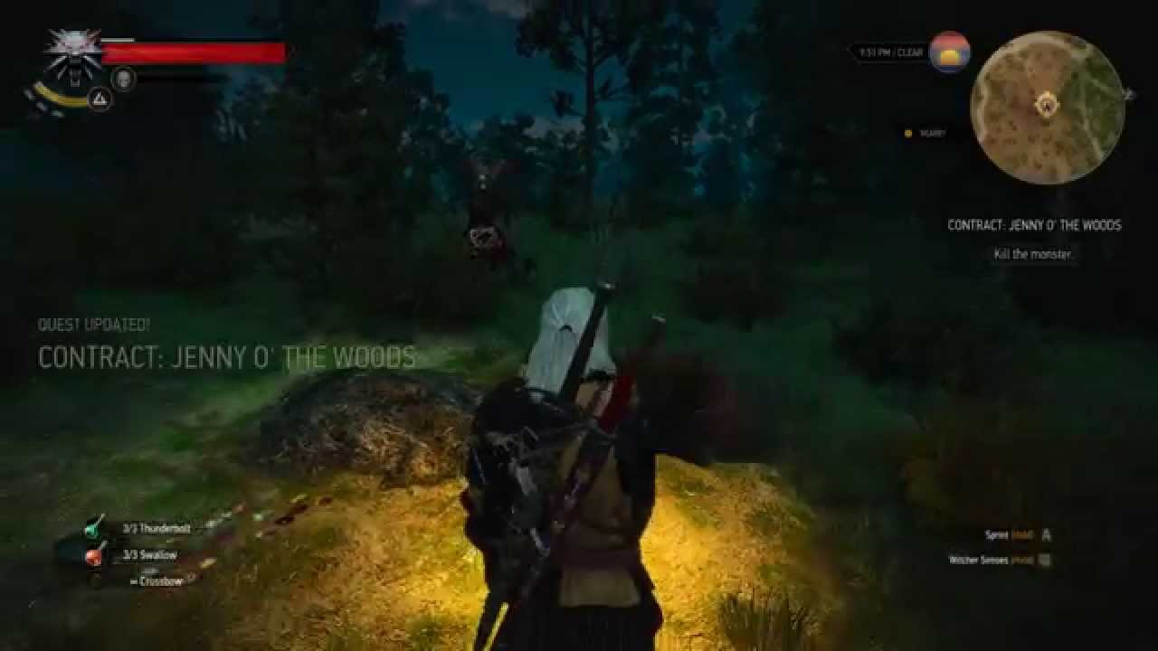 The Witcher 3: Wild Hunt - Nightwraith Fight (Contract: Jenny O' The ...