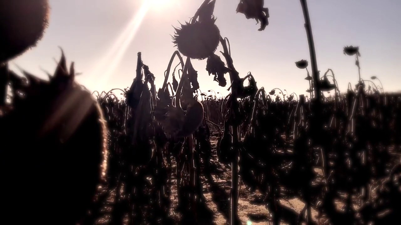 World Earth Day - when earth is scared - YouTube