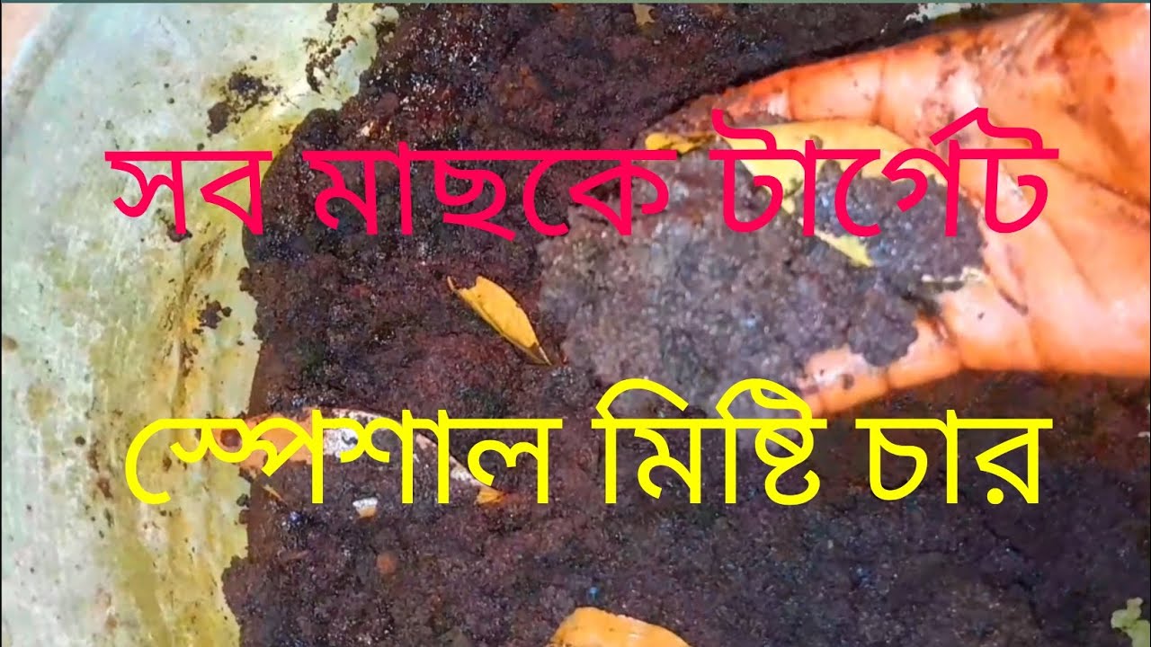 #মাছের চার বানানোর নিয়ম/পাট 3/#macher char banano #fishing 🎣 #fish ...