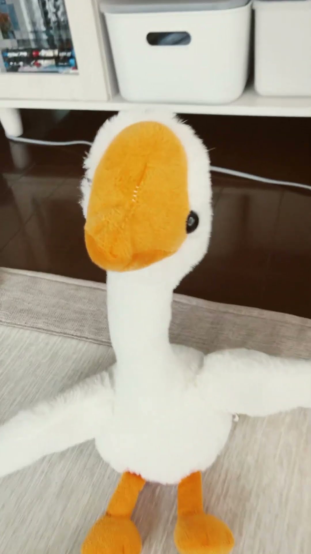 2024年8月23日 - YouTube