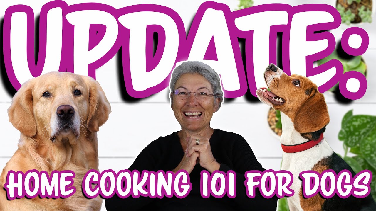 Learn How to Make Balanced Meals for Your Dog - YouTube