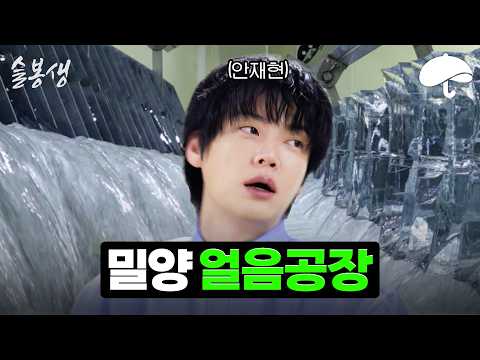 경상도 사람이 서울 말투에 환장하는 이유 | 서울 토박이 안재현