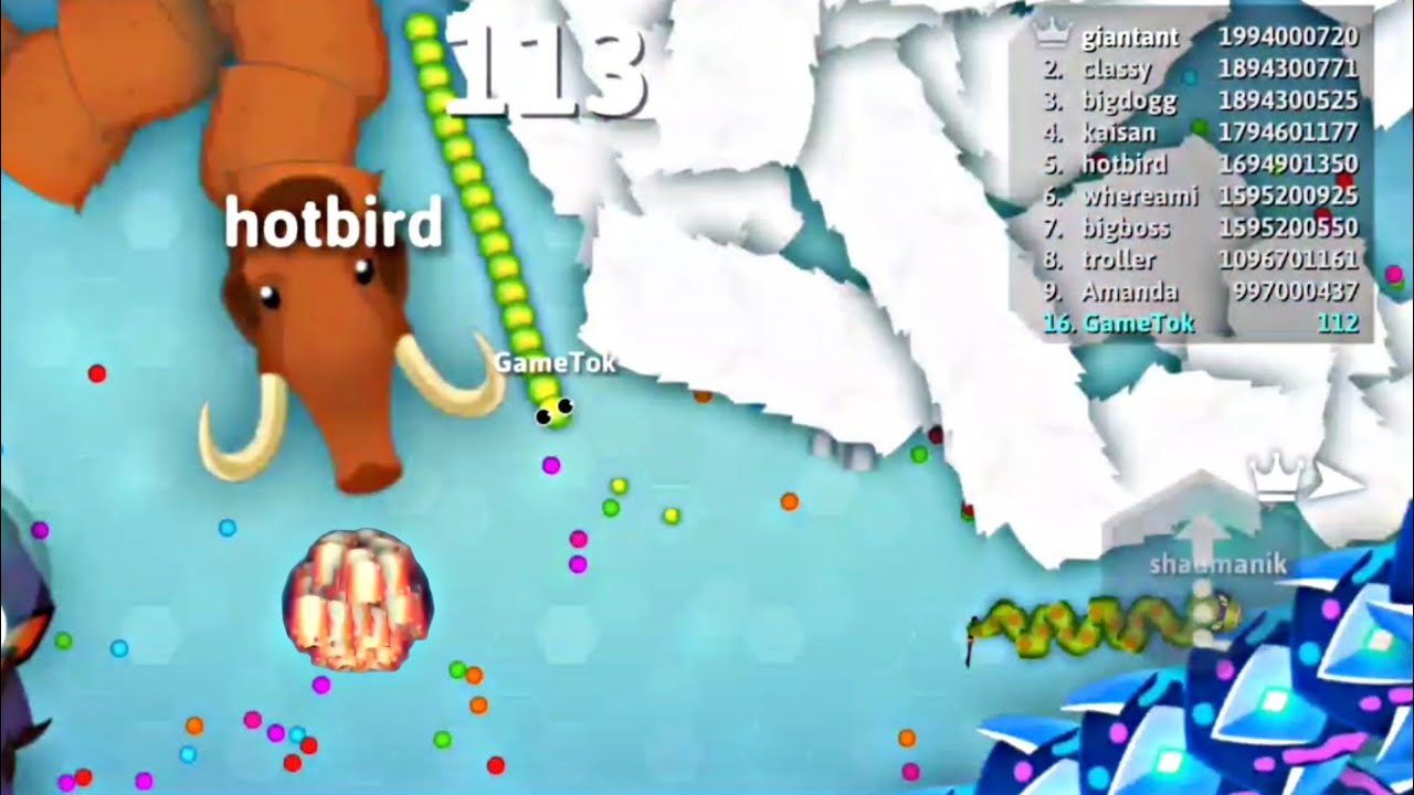 Snake.io🐍 Sprout Vs Shork Bean 🐍 Map Epic SnakeIo Gameplay - YouTube
