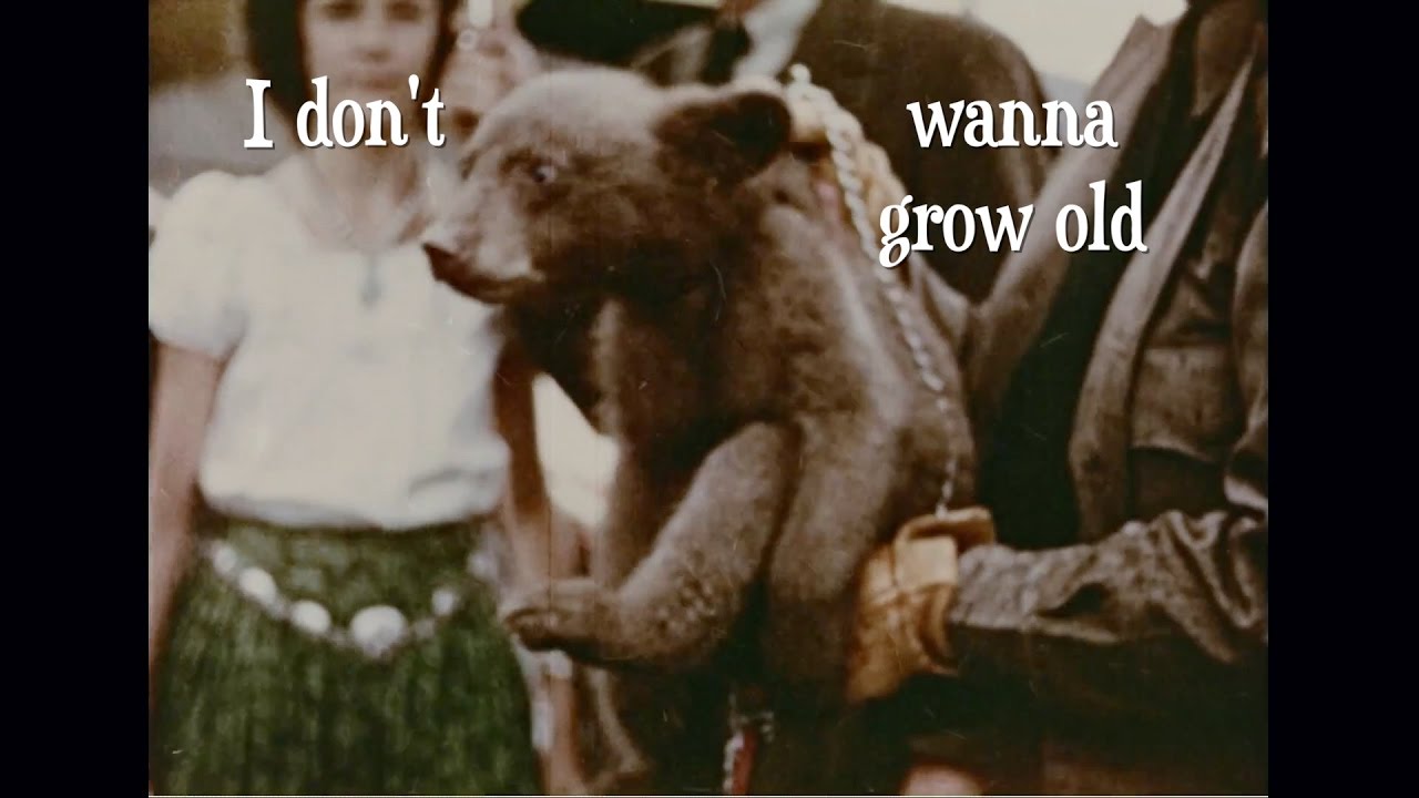 WILLODEAN - I Don't Wanna Grow Old (Lyric Video) - YouTube