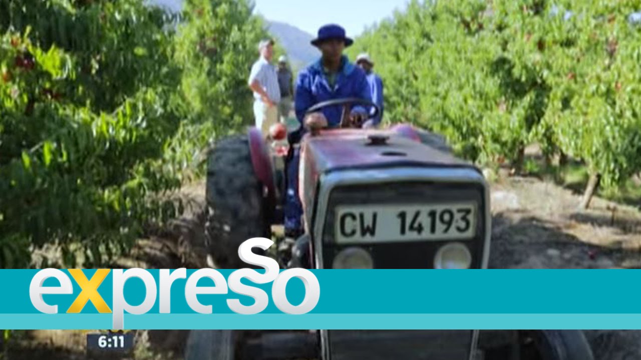 Sustainable Farming – For the Generations to Come Woolworths - YouTube