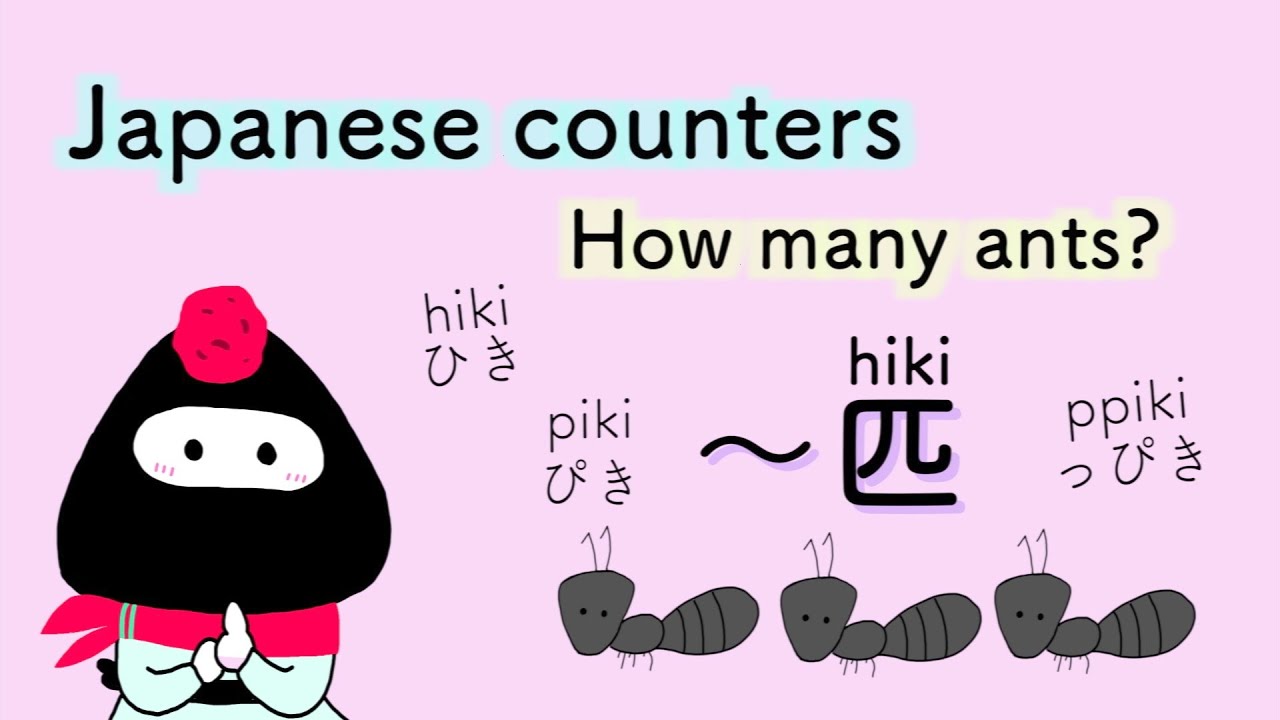 【animation】Japanese counters【匹 hiki】｜Beginners - YouTube