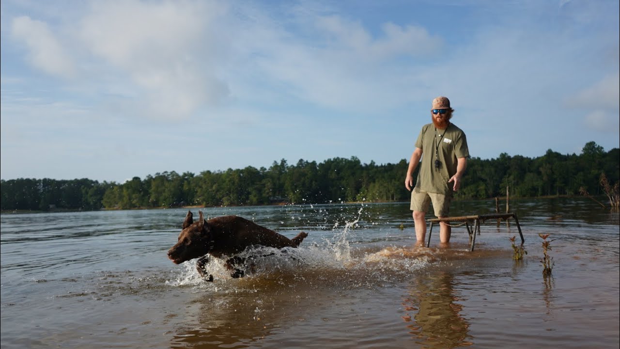 Scouting for Early Goose Season in South Carolina!!! - YouTube