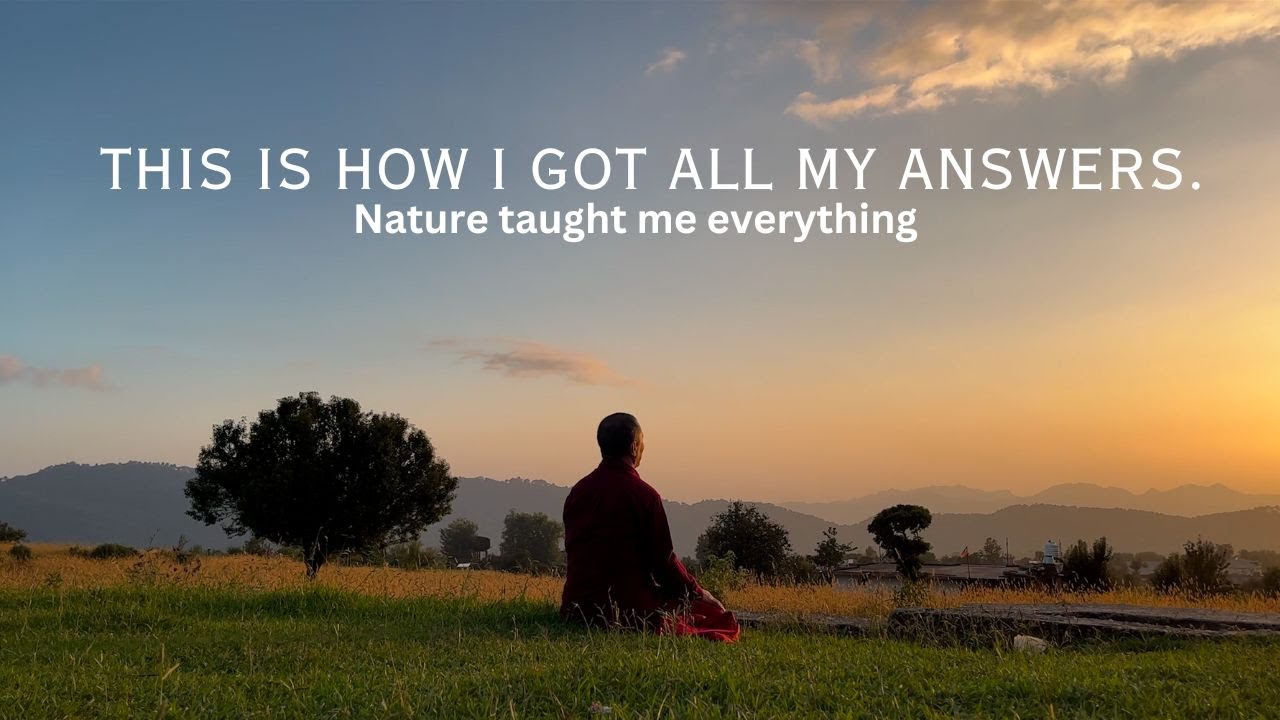 This is how I learned about life | 4k Shangarh Nature and Soothing ...