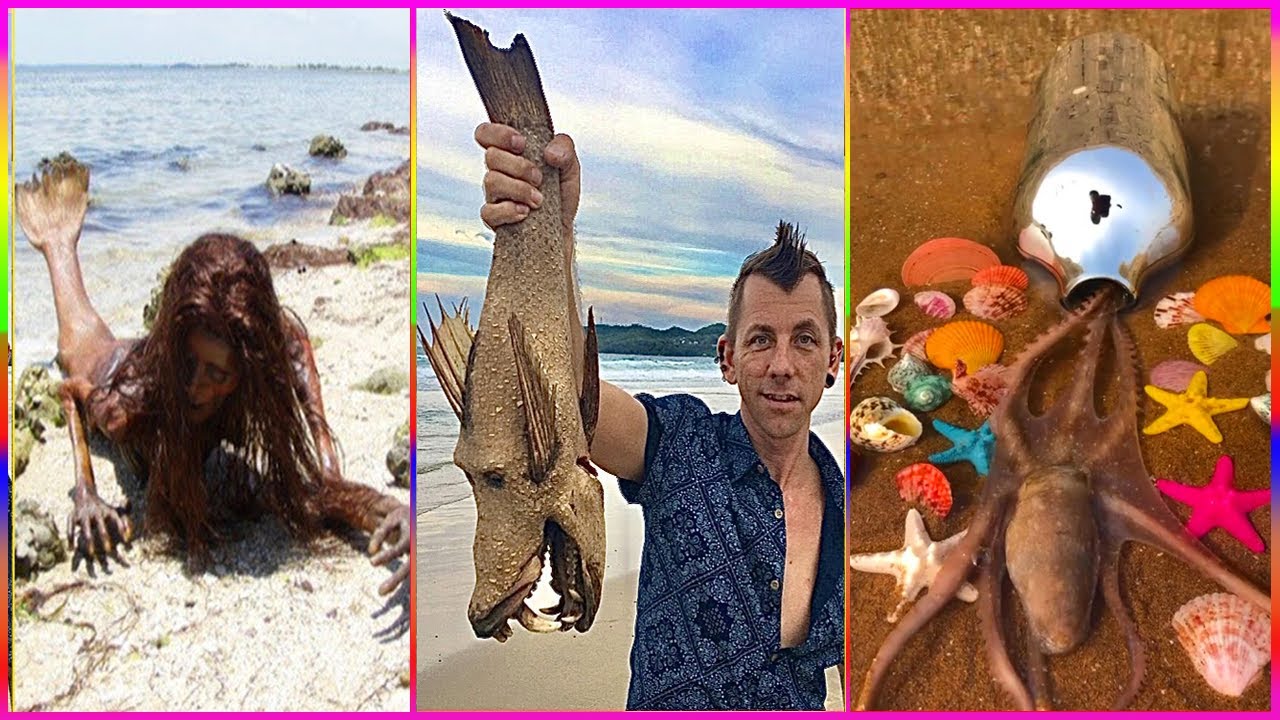 Catching Seafood 🦀🐙 ASMR Relaxing (Catch Shark , Catch Fish ,Deep Sea ...