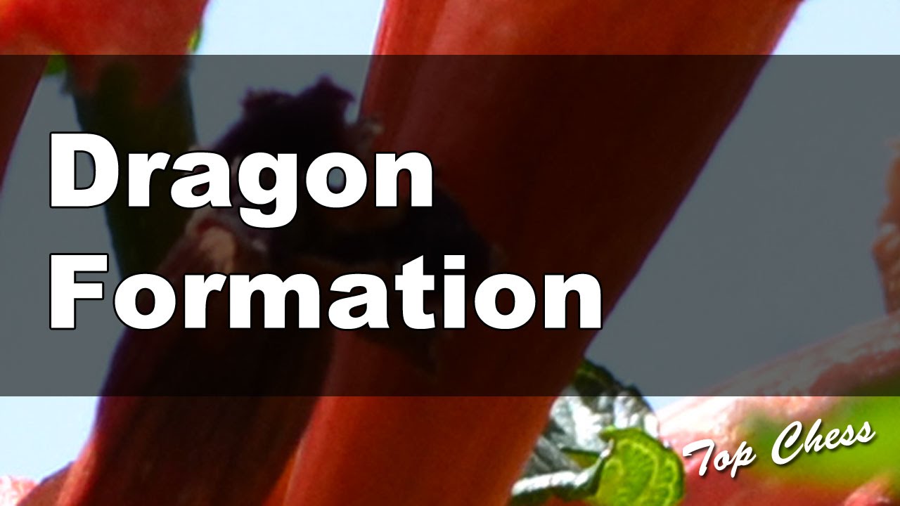 Chess Online - Gyula Sax vs Yasser Seirawan - YouTube