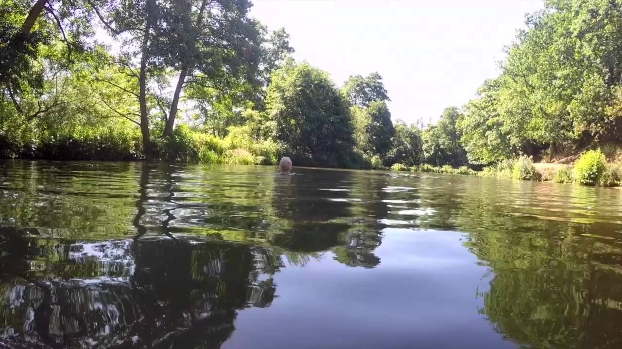 Wild Swim Guide - River Wey - YouTube