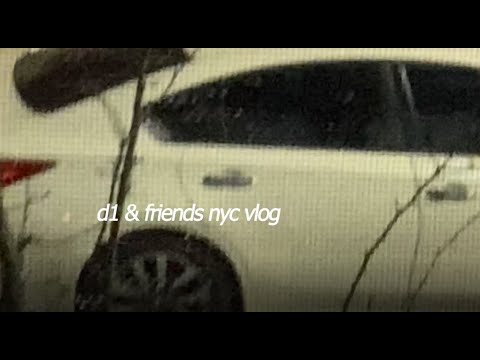 d1 & friends nyc vlog - YouTube